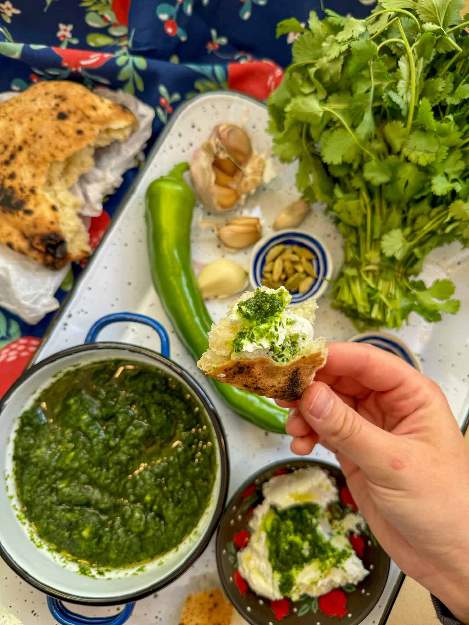 Zhoug Recipe: The Ultimate Middle Eastern Spicy Sauce - Nunioli